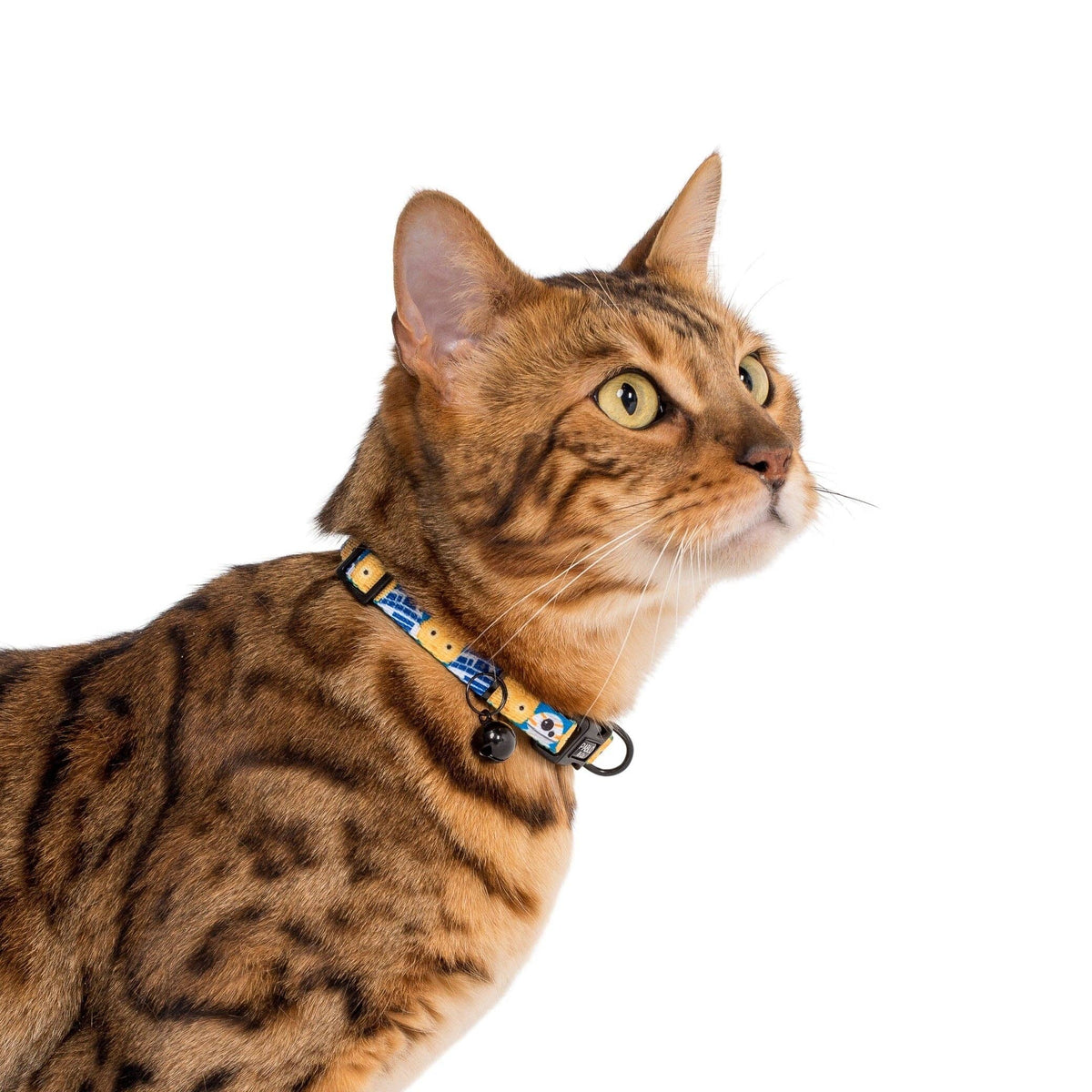 C-3PO & R2-D2: Cat Collar – Holocron Toy Store