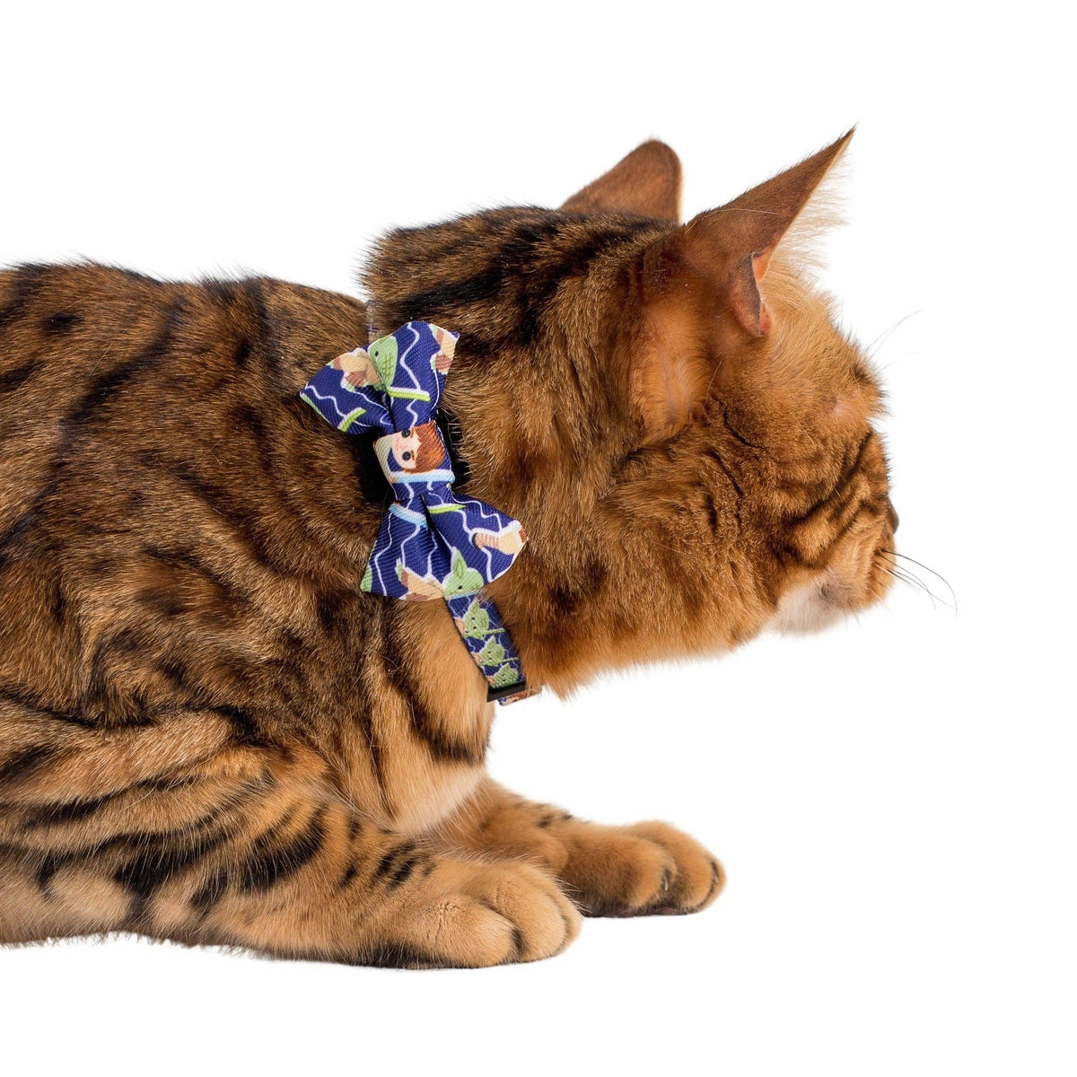 Luke Skywalker & Yoda: Cat Bow Tie – Holocron Toy Store