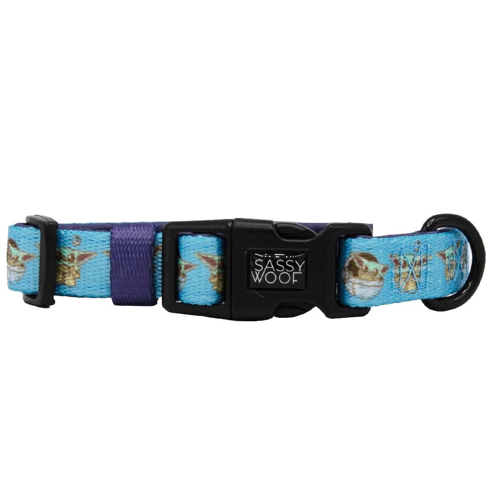 Dog Four Piece Bundle - STAR WARS™ The Mandalorian™ – Holocron Toy Store